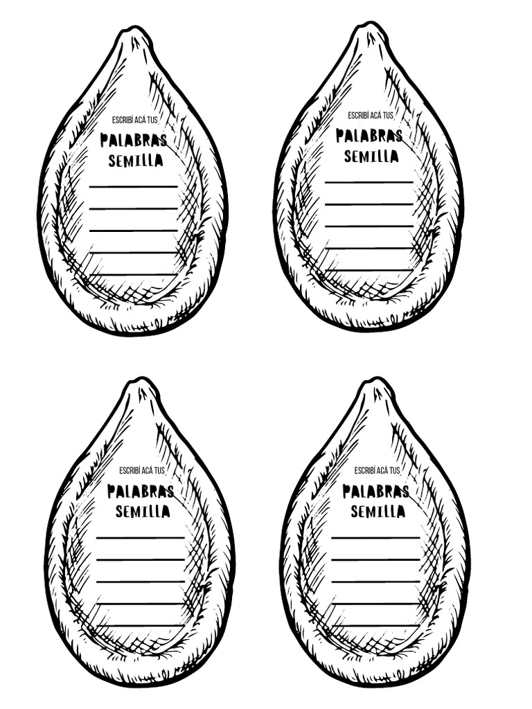Palabras Semillas Actividad | PDF