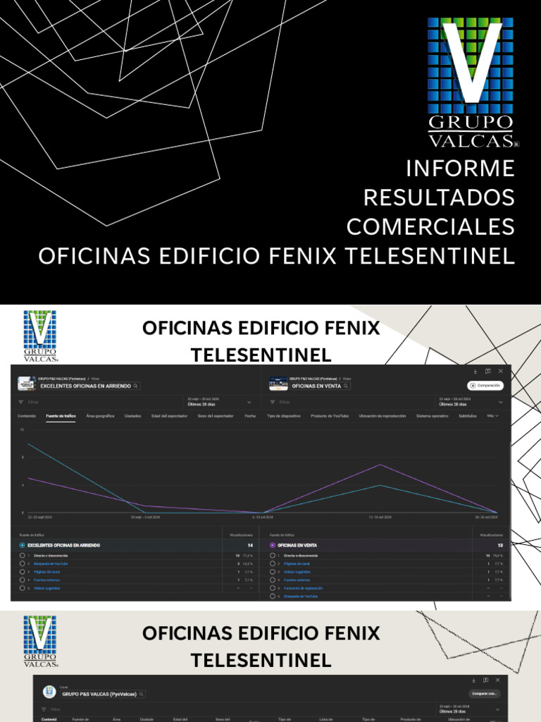 Informe Telesentinel | PDF
