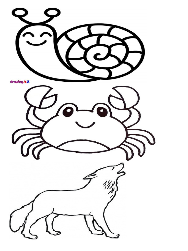 Animal-Kids - Drawing 6 | PDF