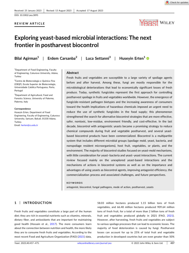 Yeast - 2023 - Agirman - Exploring Yeast Based Microbial Interactions The Next Frontier in ...