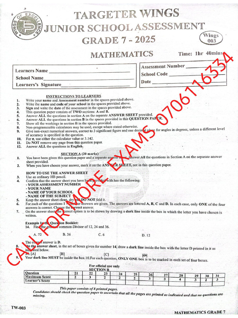 Targeter Wings 003 Grade 7 Maths | PDF