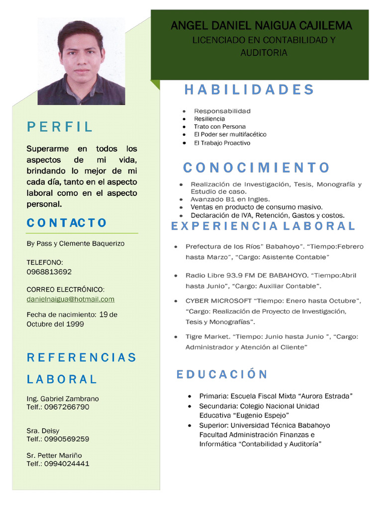 CV Daniel Naigua | PDF