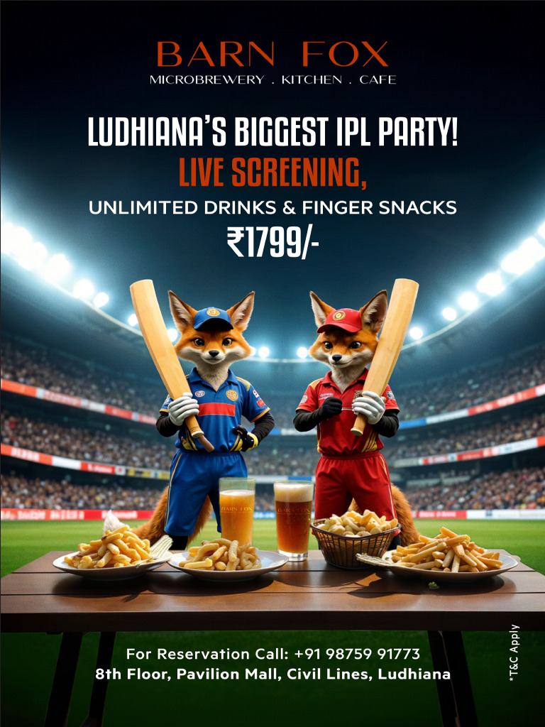 20 March (IPL Offer) 2x3 Standee | PDF