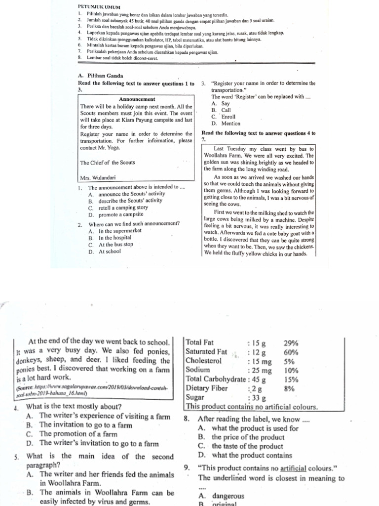 English Exercise | PDF
