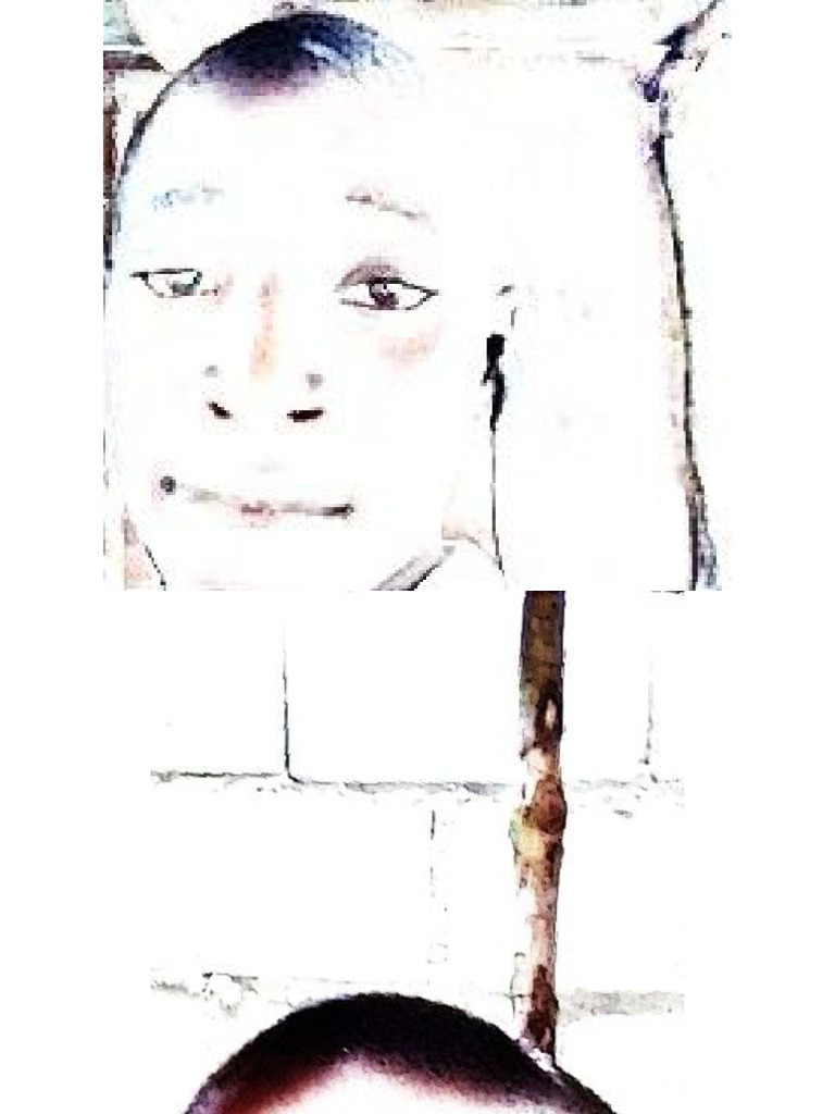 PDFReader 20250324 0835 | PDF