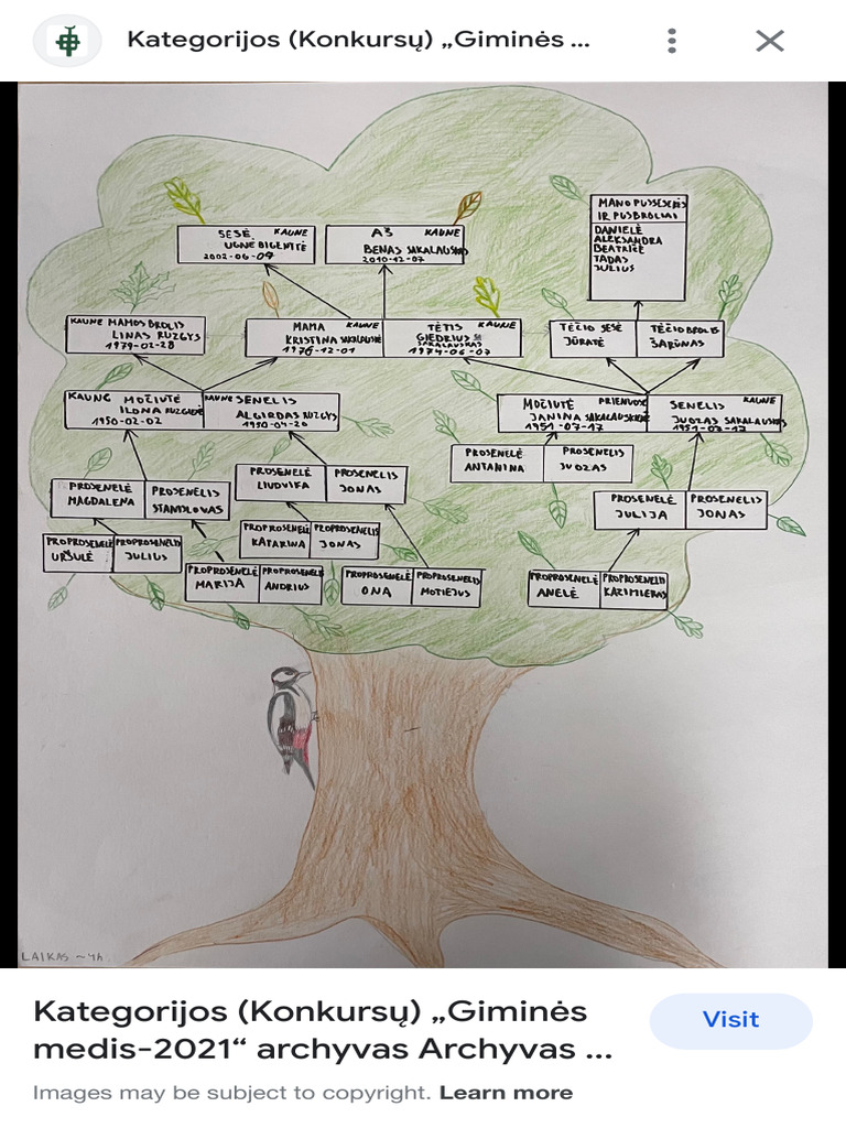 Kaip Piesti Gimines Medi - Google Search | PDF