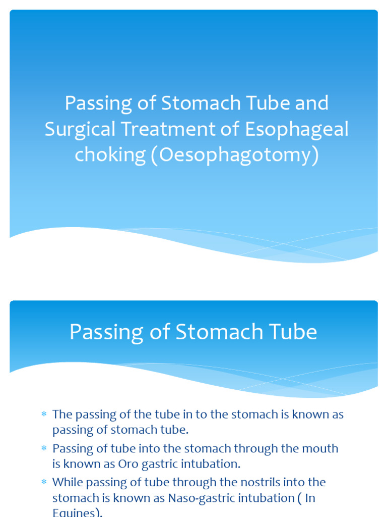 Stomach Tube Passing & Oesophagotomy Guide | PDF | Esophagus | Stomach