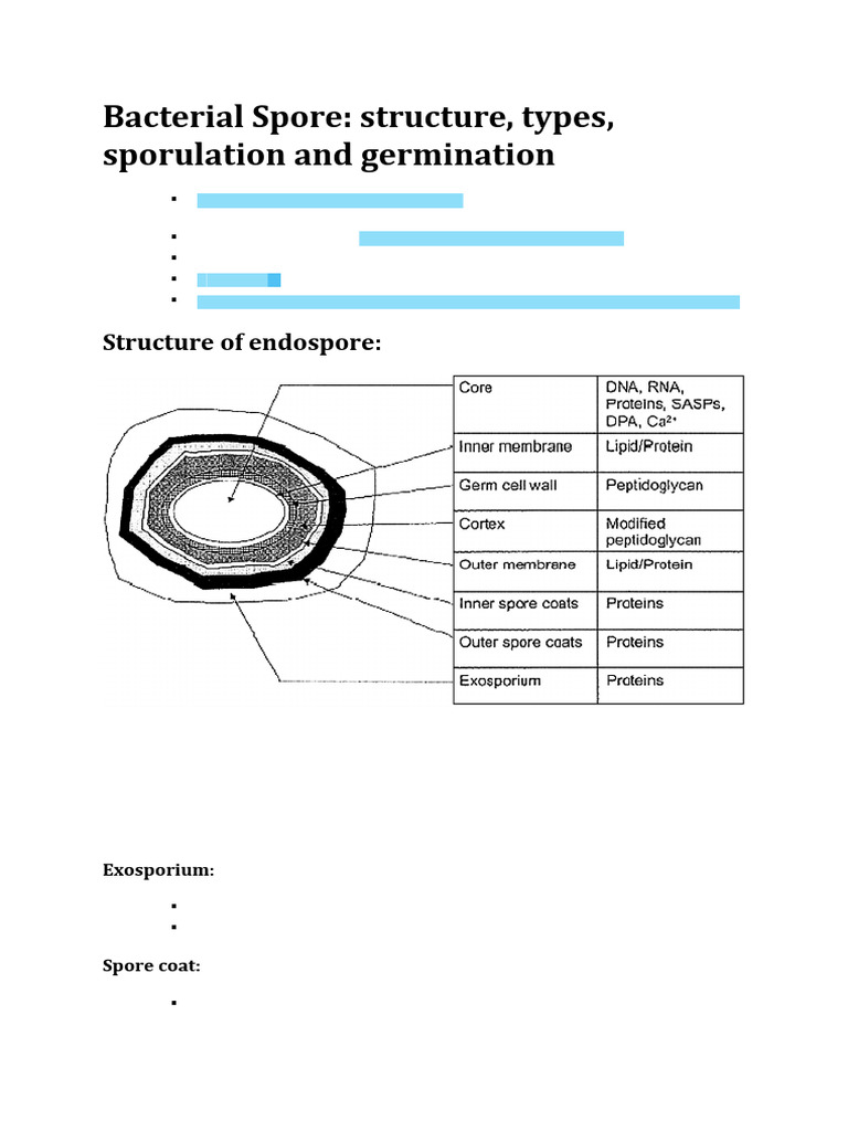 Bacterial Endospores | PDF | Biology | Cell Biology