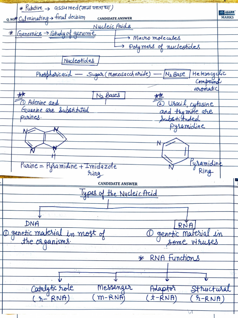 Genetics Class 12 | PDF