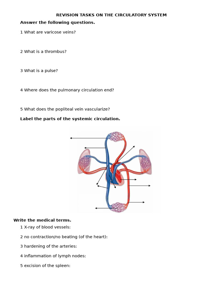 Circulatory System Revision Tasks | PDF