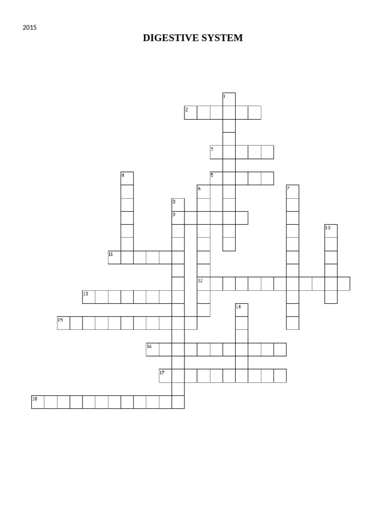 Digestive System Crossword Puzzle | PDF