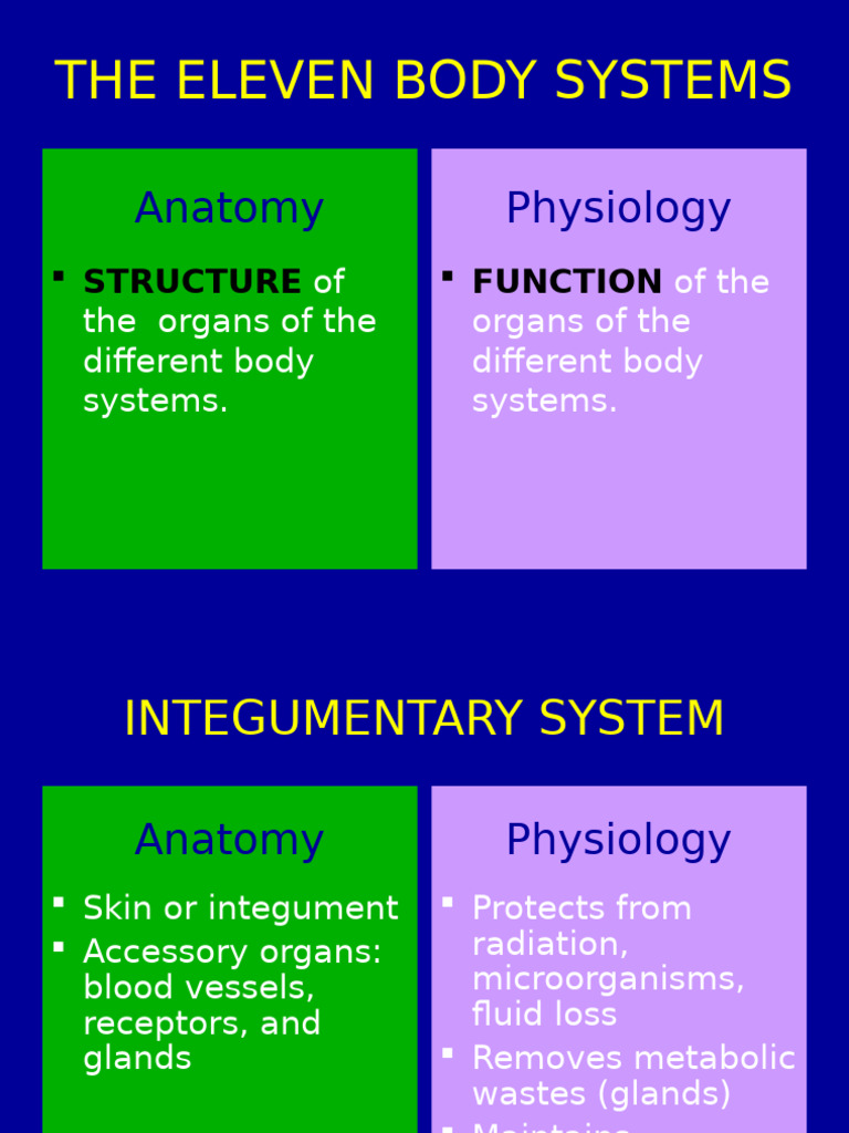 Eleven_Body_Systems | PDF | Human Body | Endocrine System