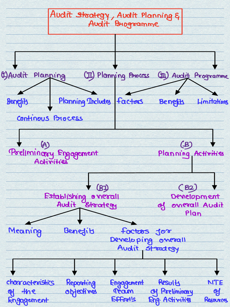 Audit Planning Strategy and Audit Programme | PDF | Audit | Business