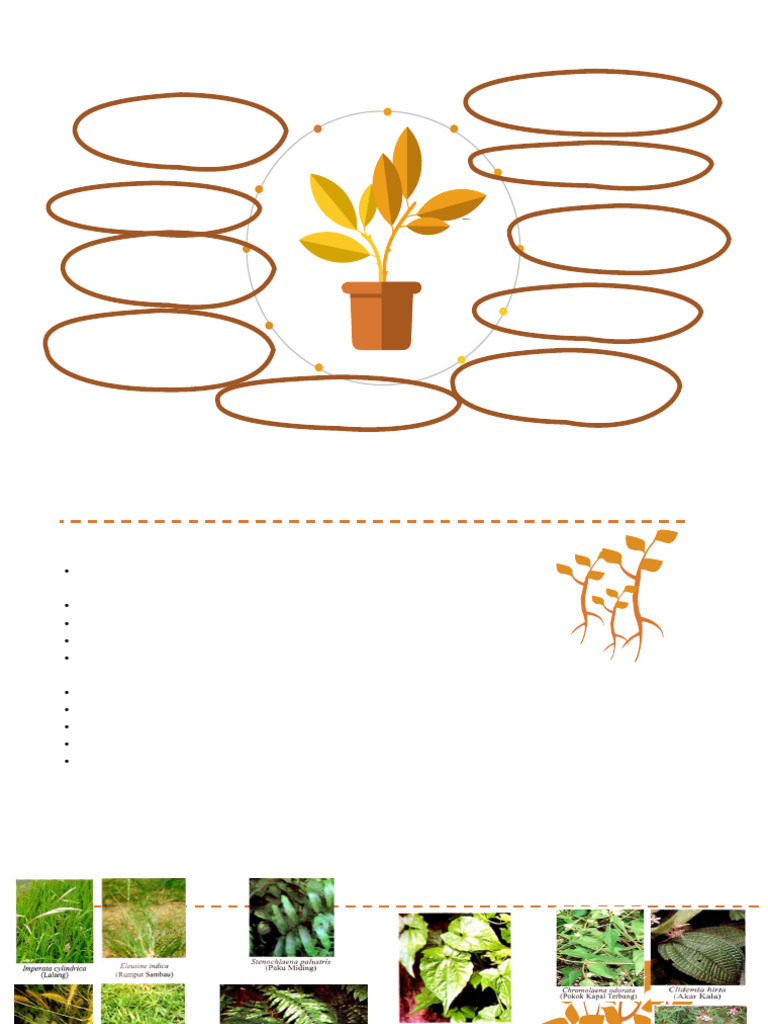 Kawalan Rumpai | PDF