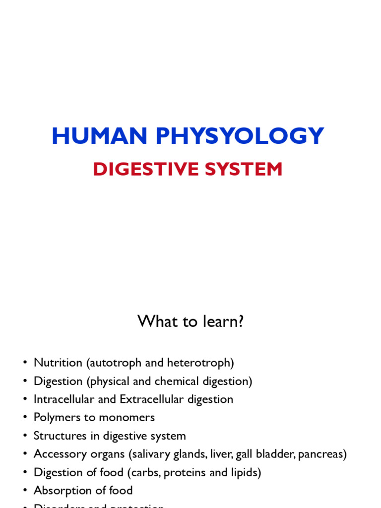 Digestive System.slides pptx 2 | PDF | Stomach | Digestion