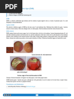 Coliform Detection Using EMB Agar | PDF | Prokaryote | Bacteria
