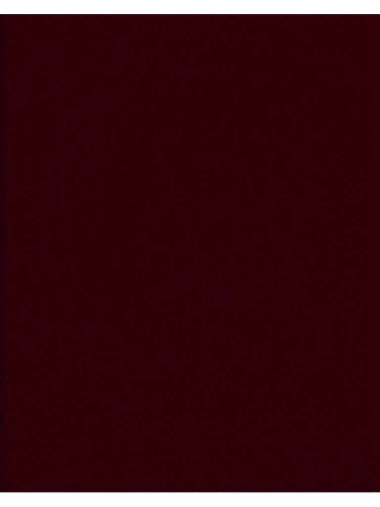 PDFReader 20250324 1248 | PDF