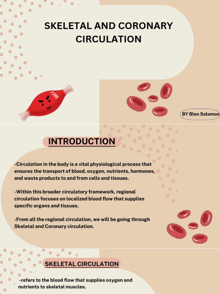 Skeletal and Coronary Circulation Explained | PDF | Circulatory System ...