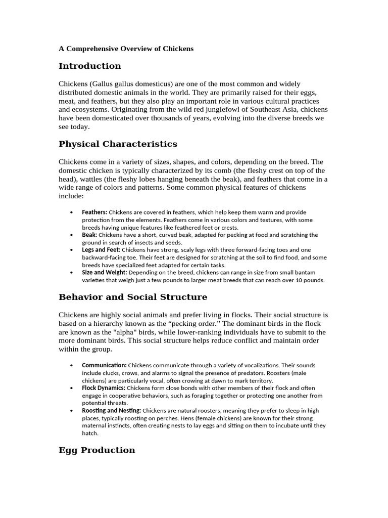 A Comprehensive Overview of Chickens | PDF | Chicken | Broiler