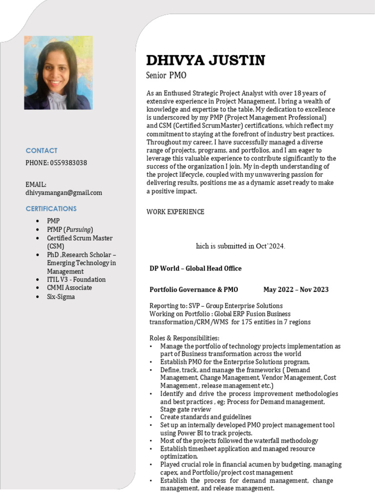 Senior PMO with 18 Years Experience | PDF | Project Management | Business