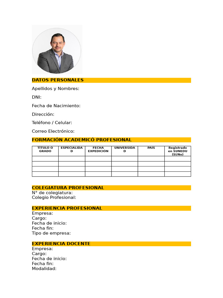 Formato de CV Profesional Completo | PDF