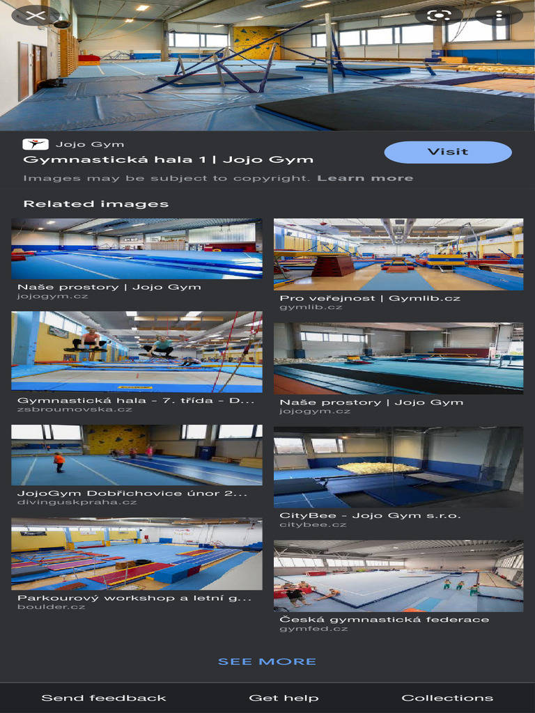 Jojo Gym - Google Search | PDF