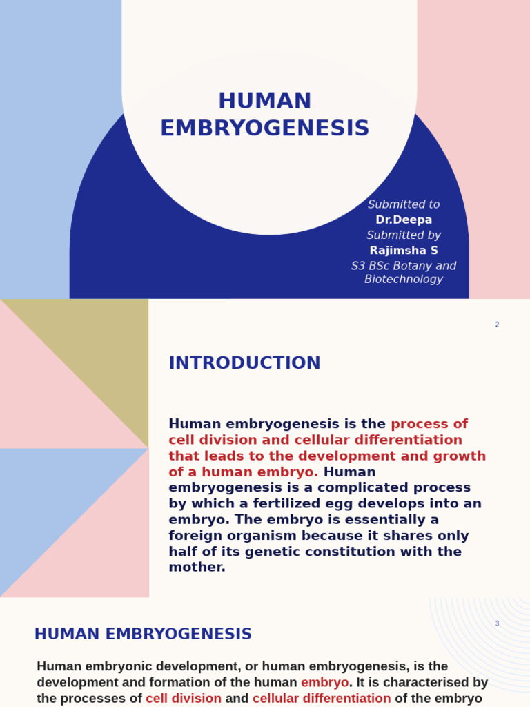 Human Embryogenesis: Stages Explained | PDF | Embryo | Biological Processes