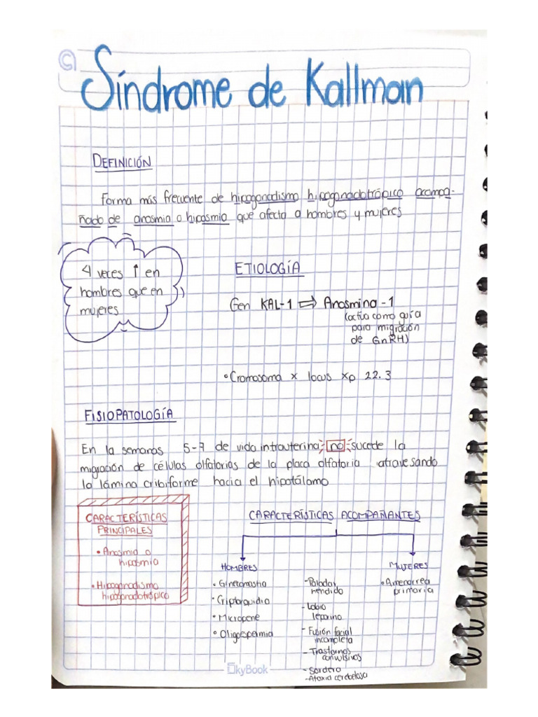 Sindrome de Kallman | PDF