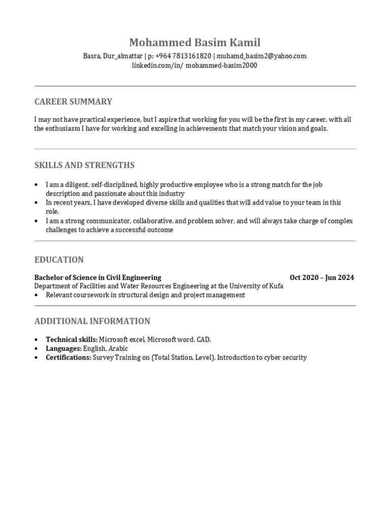 Mohammed Basim Kamil: Career Summary | PDF