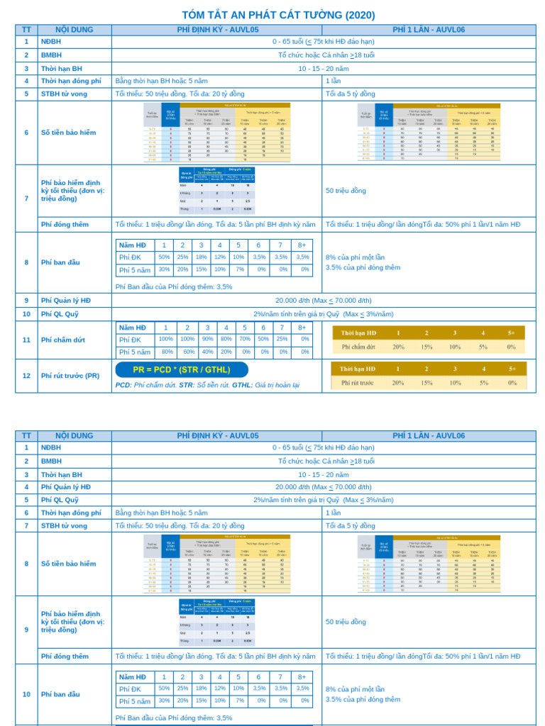 APCT Ver20240101 Tom Tat | PDF