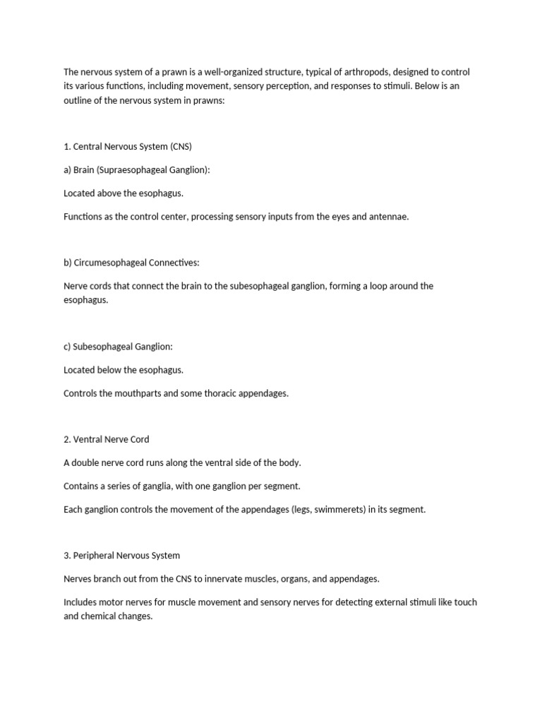 The Nervous System of A Prawn Is A Well | PDF