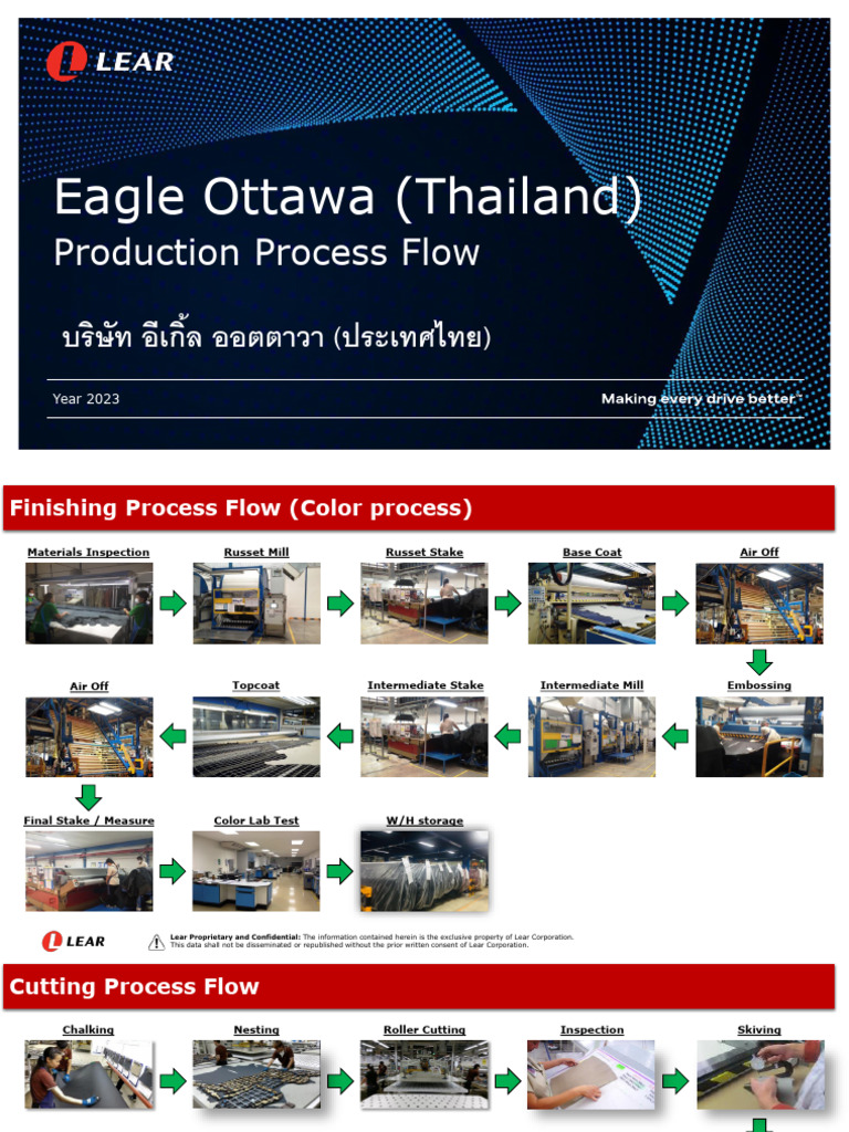 EOT - Leather Production Process Flow | PDF