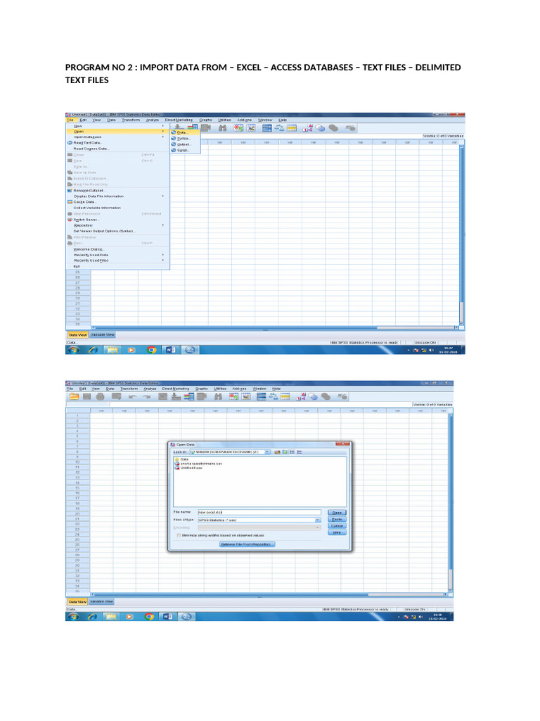 Programe 2 SPSS | PDF