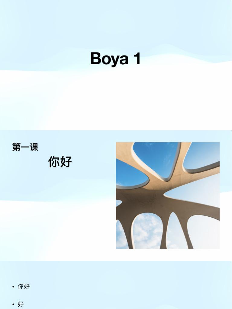 Boya 1 10 | PDF