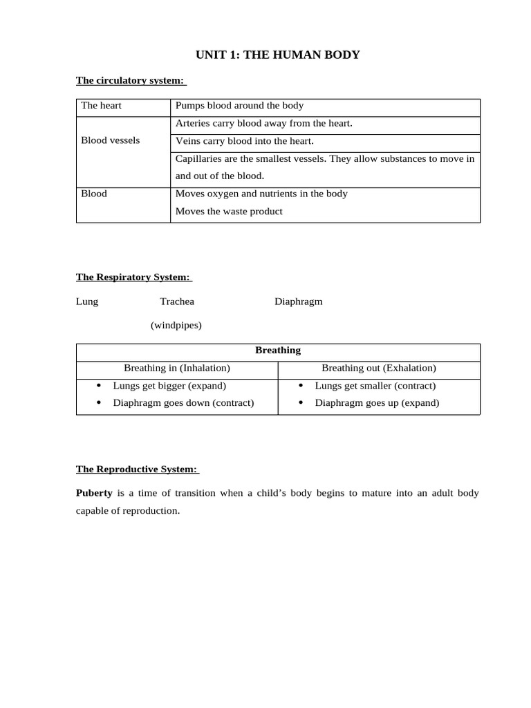 Overview of Human Body Systems | PDF | Human Body | Lung
