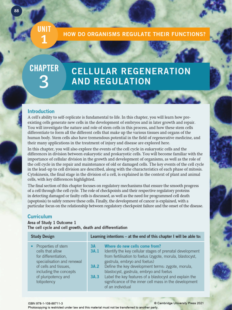 Vcebioloty12 ch03 | PDF | Cell Potency | Embryo