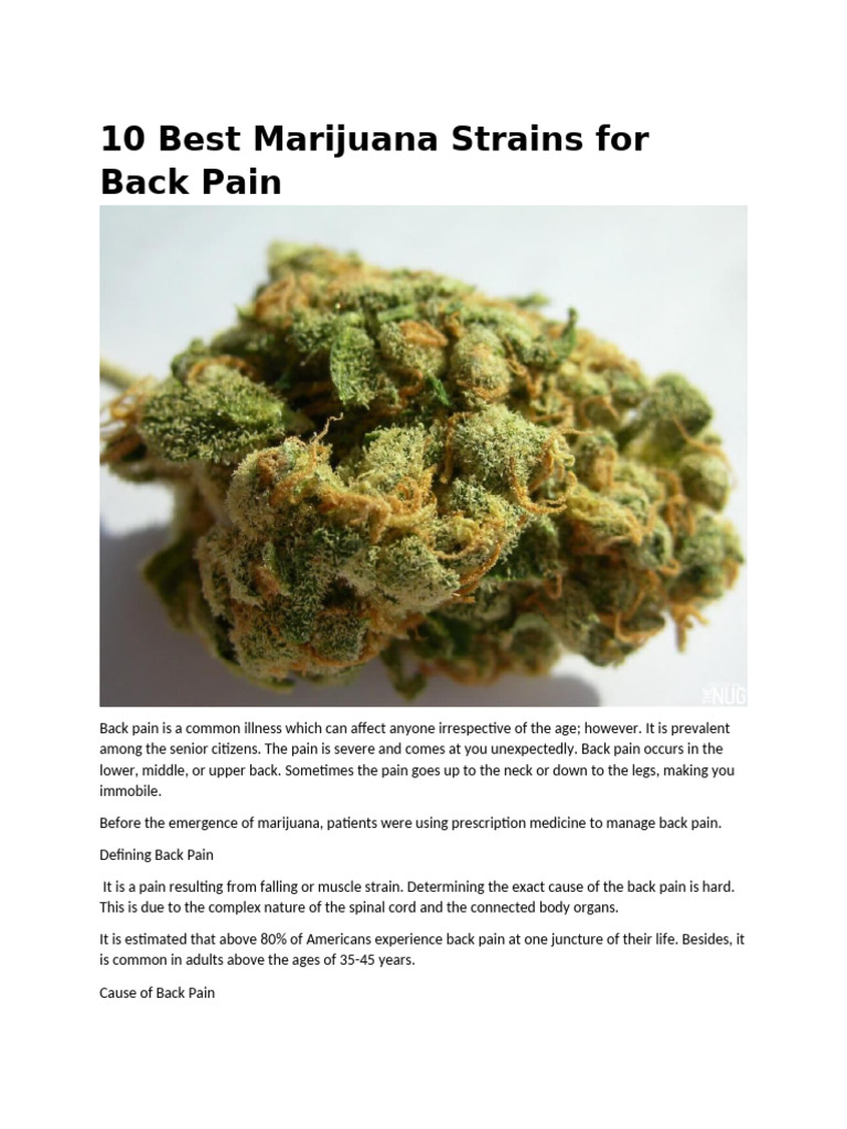 10 Best Marijuana Strains For Back Pain | PDF | Back Pain | Cannabis