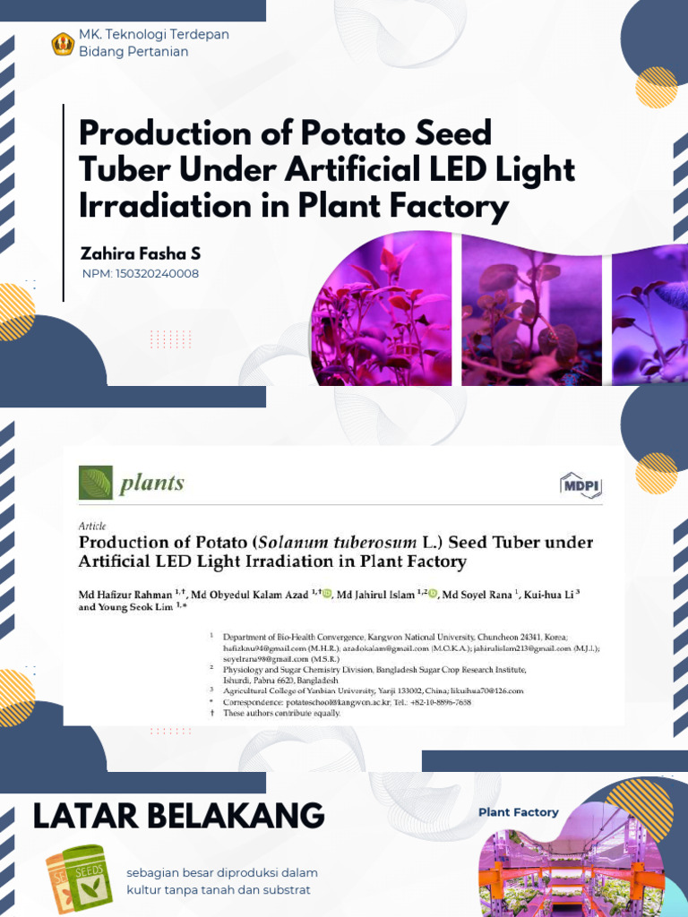 MK. TTBP - Compressed | PDF