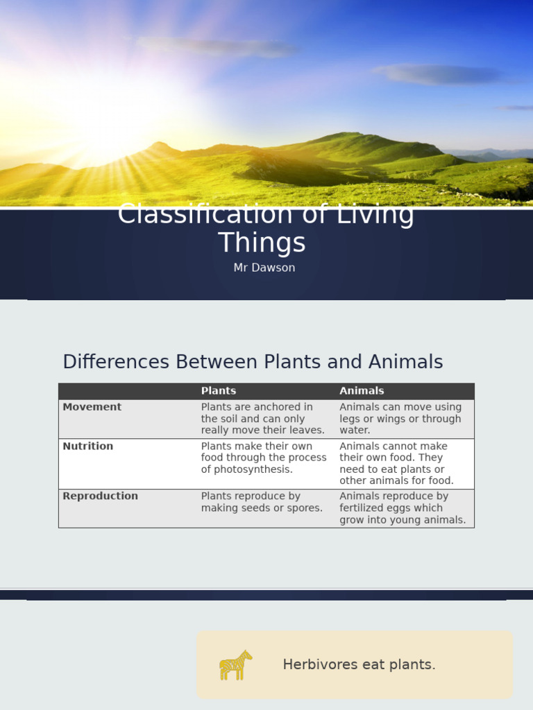 Classification of Living Things | PDF | Plants | Foods