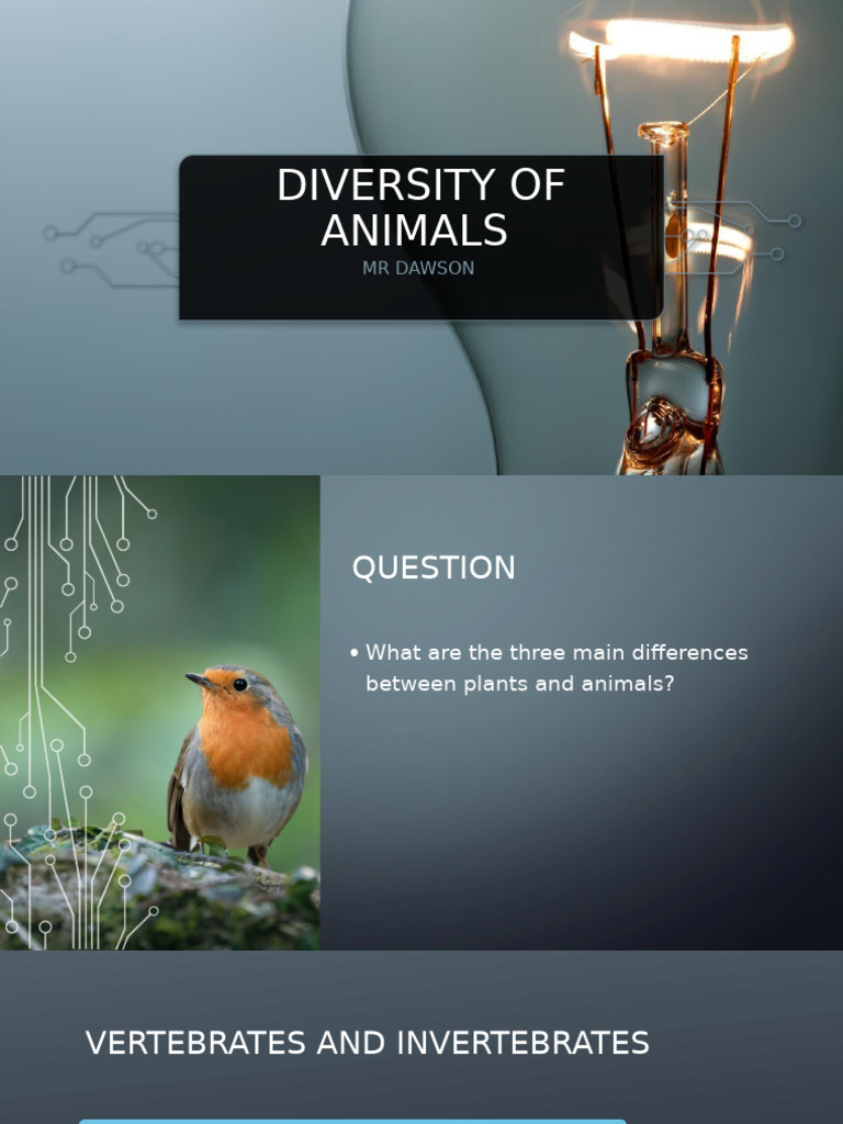 Animal Diversity: Vertebrates vs. Invertebrates | PDF | Amphibian | Reptile