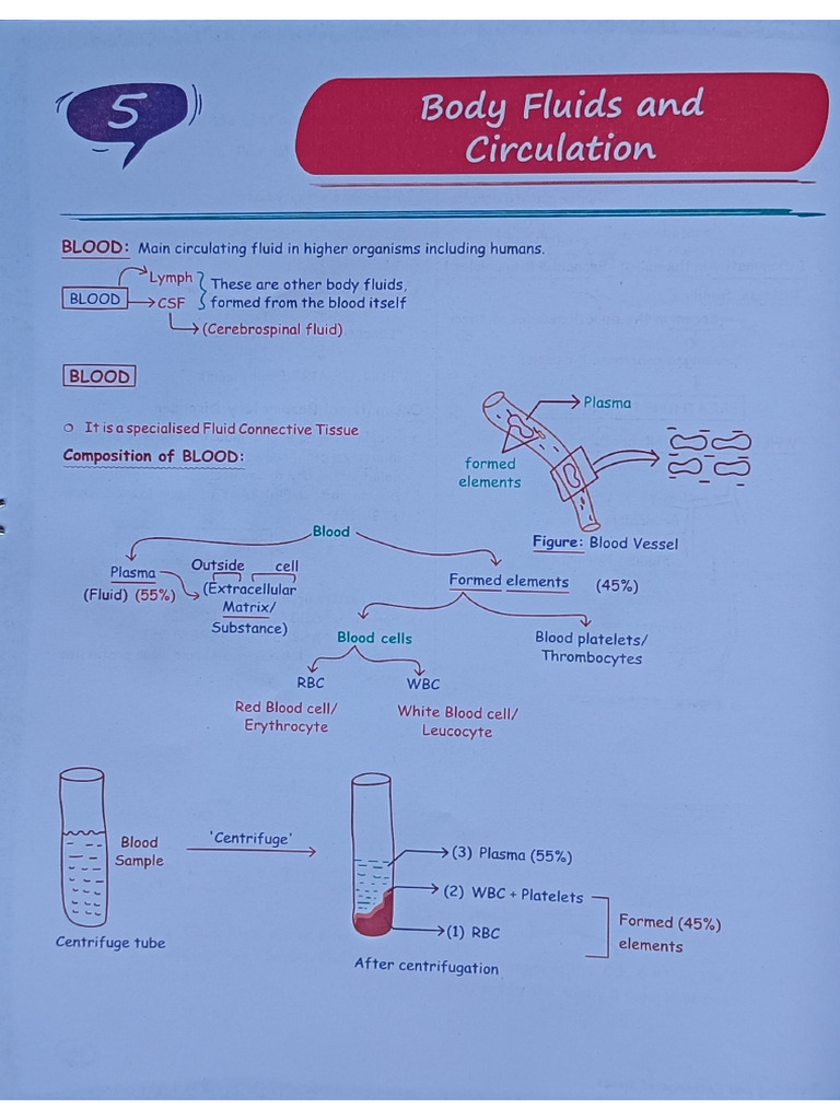 Body Fluids and Circulation Zoology Med Easy | PDF