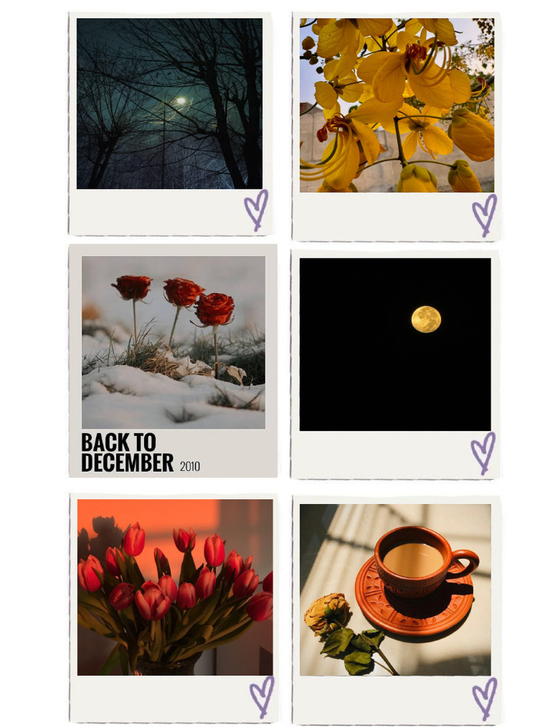 Polaroids | PDF
