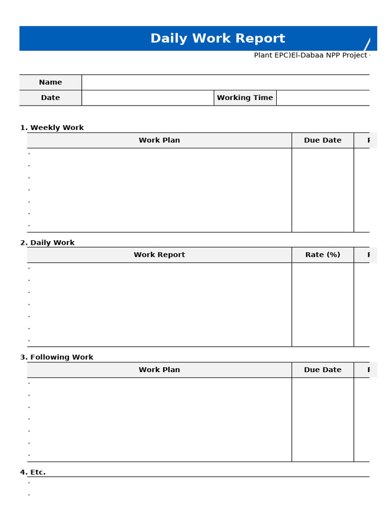 Daily Work Report From | PDF