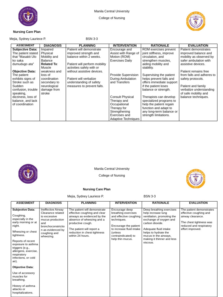 Nursing Care Plan for Stroke and Asthma | PDF | Respiratory Tract ...