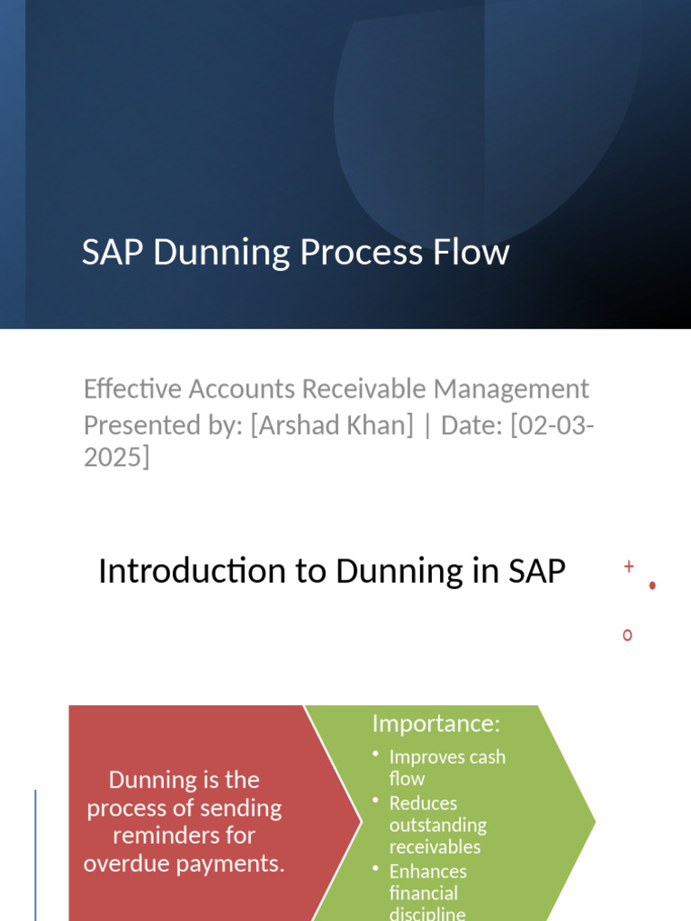 SAP Dunning Process | PDF