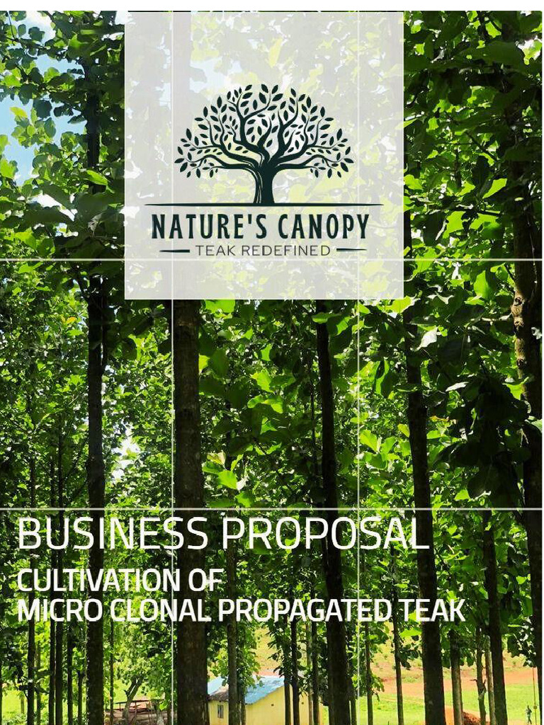 Nature's Canopy - Ethiopia - Proposal | PDF | Investing | Sugarcane