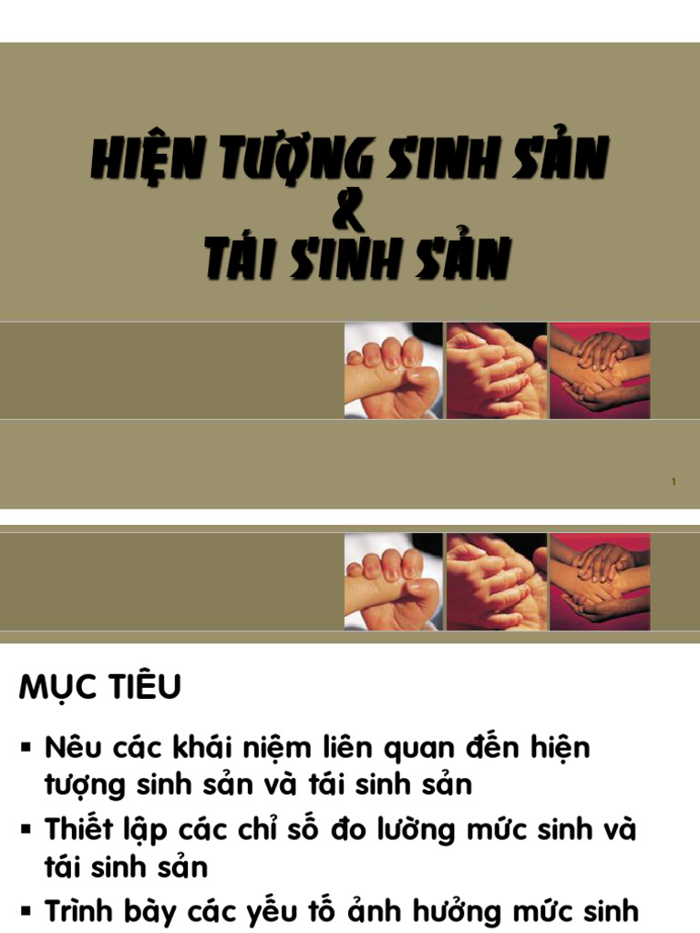 Sinh San-Tai Sinh San | PDF