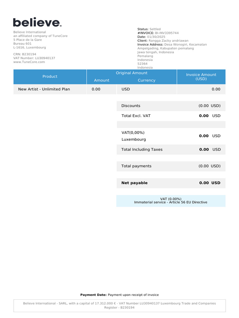 invoice2025-01-31 | PDF | Services (Economics) | Trade