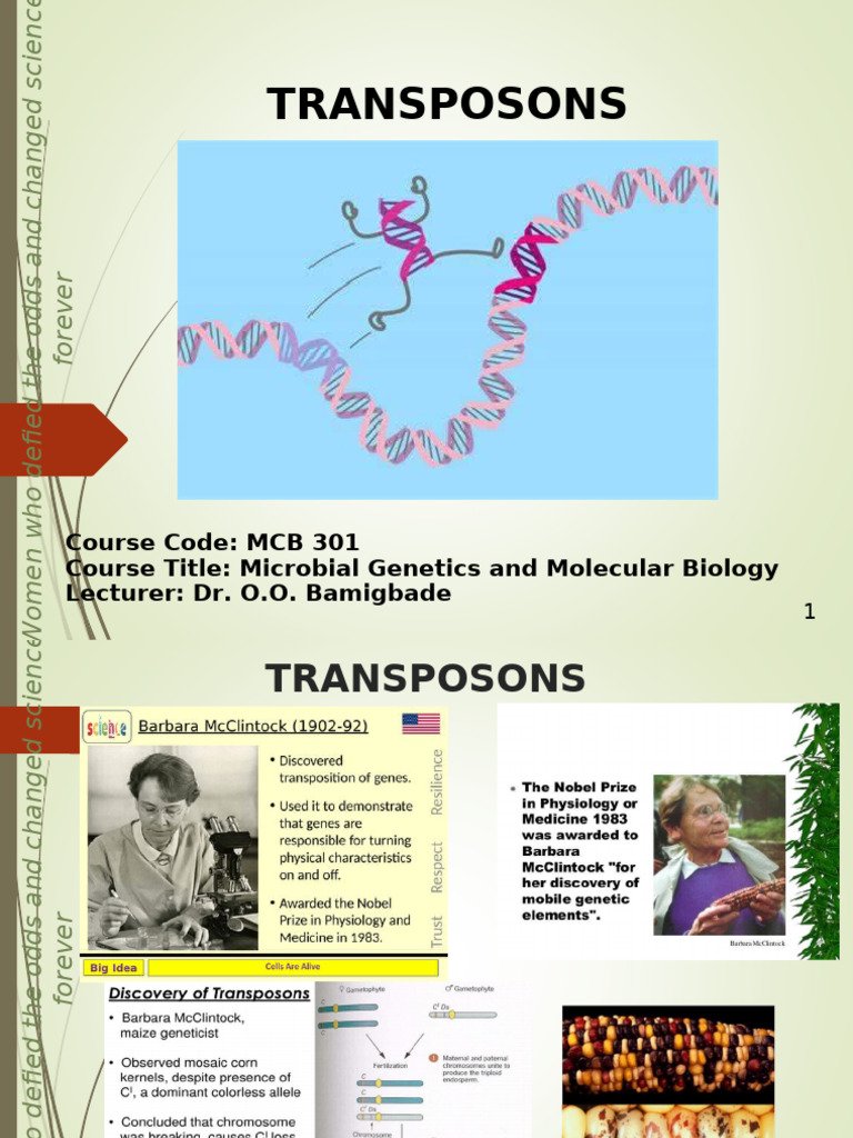 Understanding Transposons in Genetics | PDF | Transposable Element | Gene