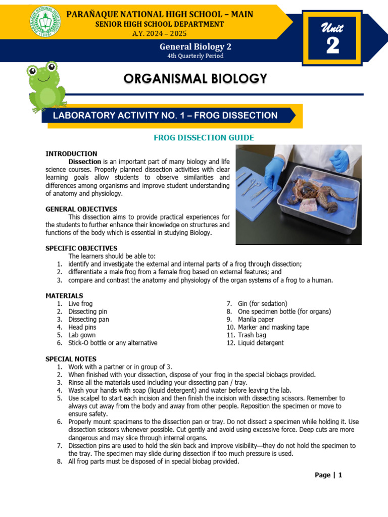 3 - Bio 2 - Frog Dissection Guide & Lab Report | PDF | Gastrointestinal ...